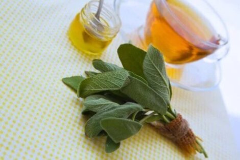 Φασκόμηλο και μέλι για τις γρατσουνιές και τα κοψίματα - Με Υγεία